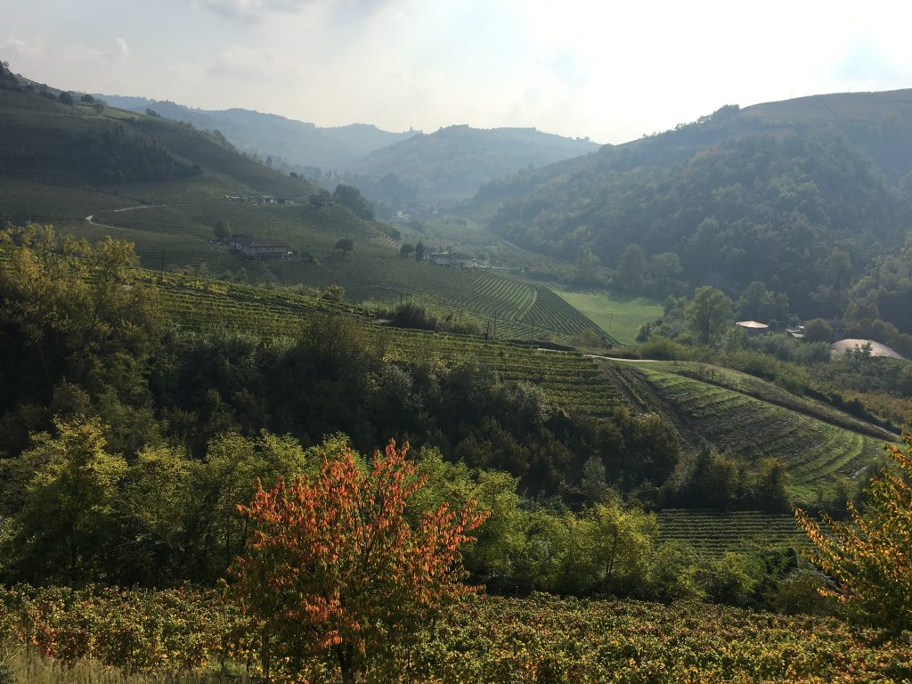 Alba | Shigeko Tojo Web Site