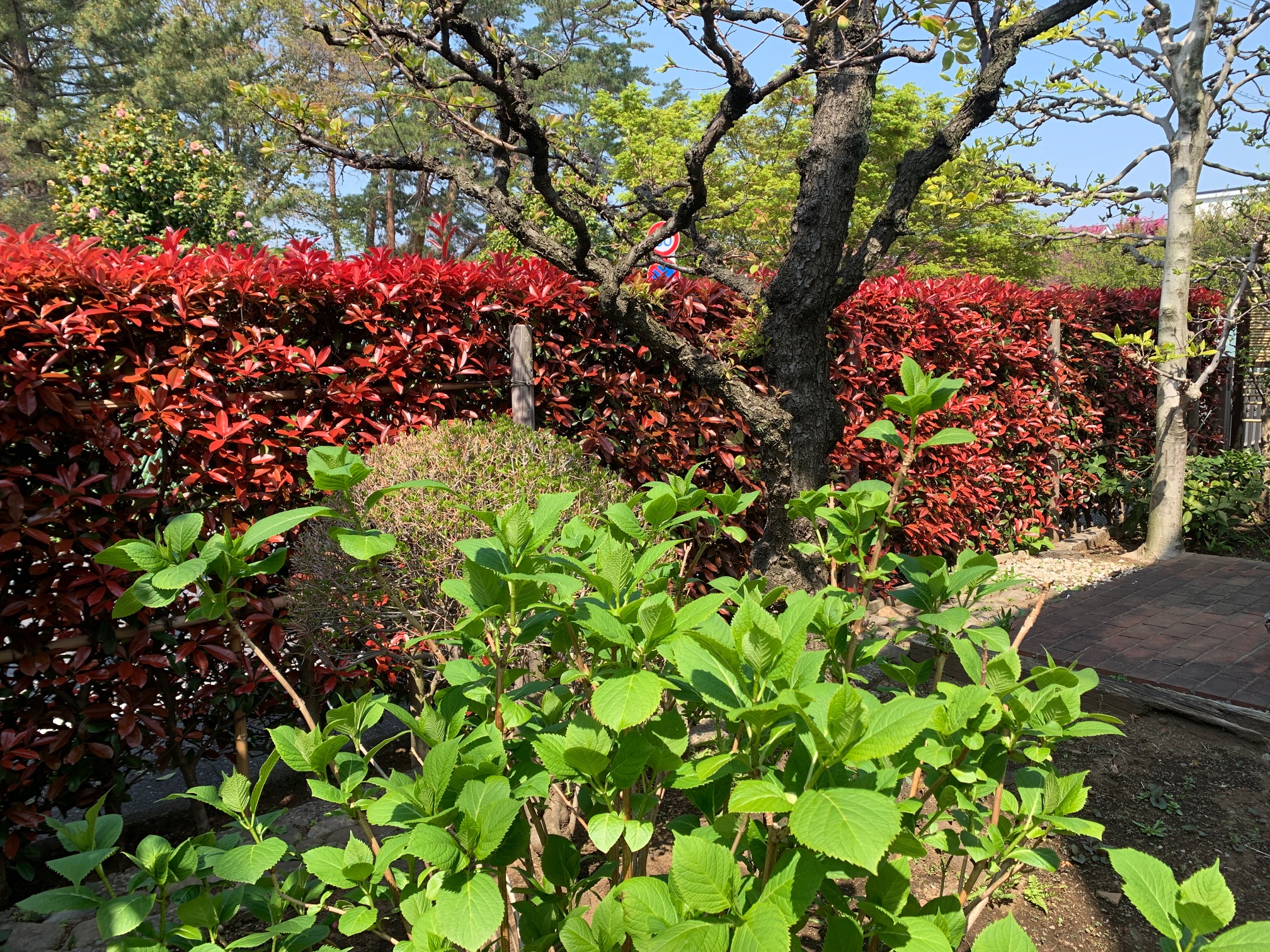 丁寧に暮らす | Shigeko Tojo Web Site