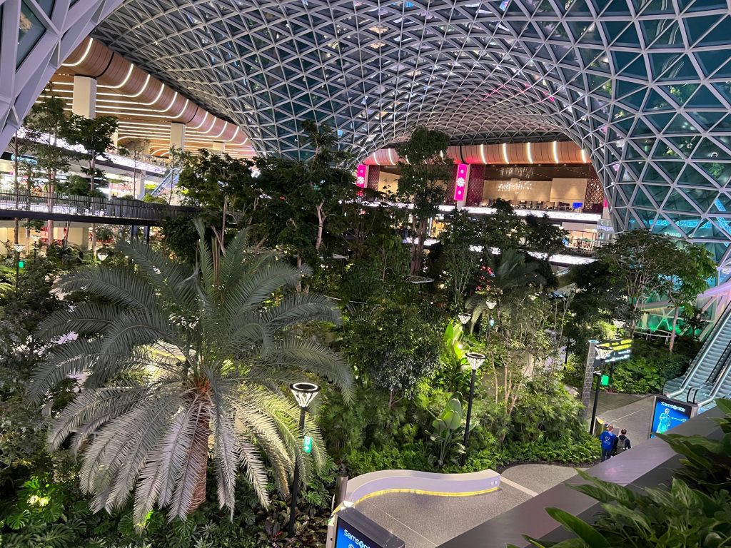 心の洗濯 | Shigeko Tojo Web Site